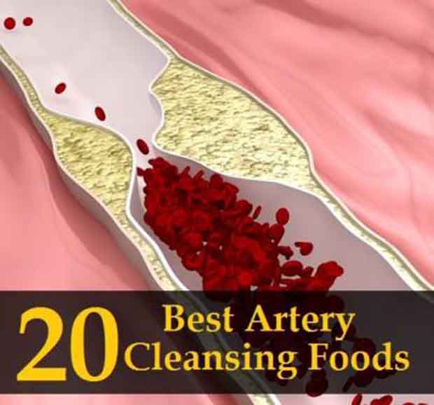 Fact Of The Day 20 Best Artery Cleansing Foods