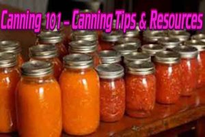 Canning 101 – Canning Tips & Resources