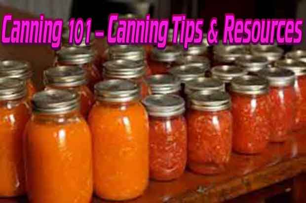 Canning 101 – Canning Tips & Resources