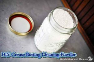 DIY Grease-Busting Cleaning Powder