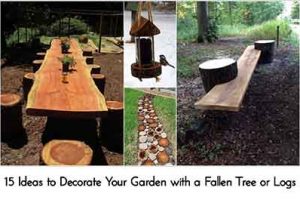 15 Ideas to Decorate Your Garden with a Fallen Tree or Logs